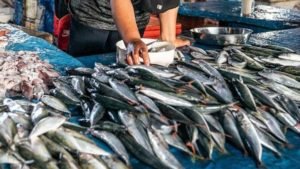 Economic Goods: Definition, Types, and Examples - Sinaumedia