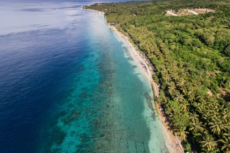 Economic Goods: Definition, Types, and Examples - Sinaumedia