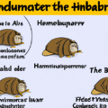 Definition of Hibernation and Examples of Hibernating Animals - Sinaumedia